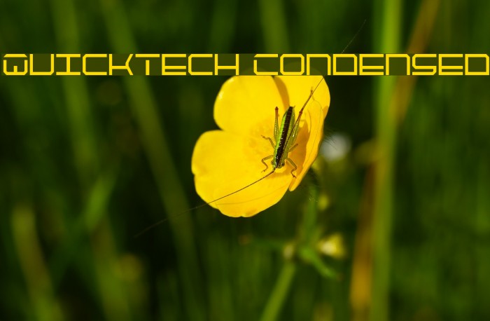 QuickTech Condensed Font - FFonts.net