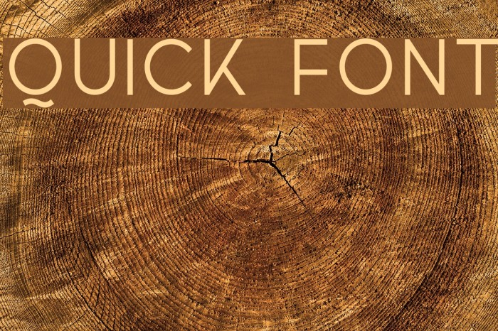 Quick Font - FFonts.net