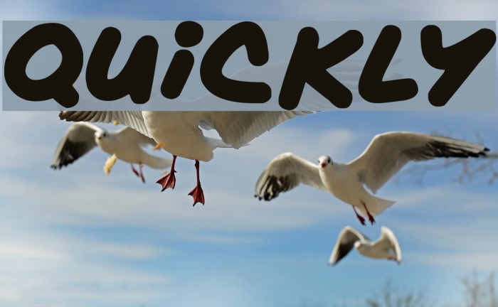 Quickly Font - FFonts.net