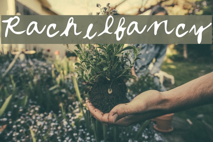 Rachel_fancy Font - FFonts.net