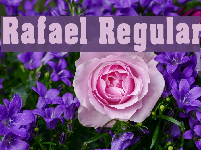 Rafael Regular Font - FFonts.net