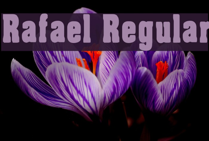 Rafael Regular Font - FFonts.net