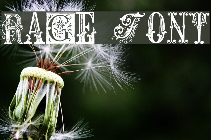 Rage Font - FFonts.net