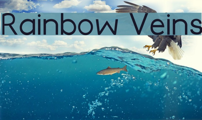 Rainbow Veins Font - FFonts.net