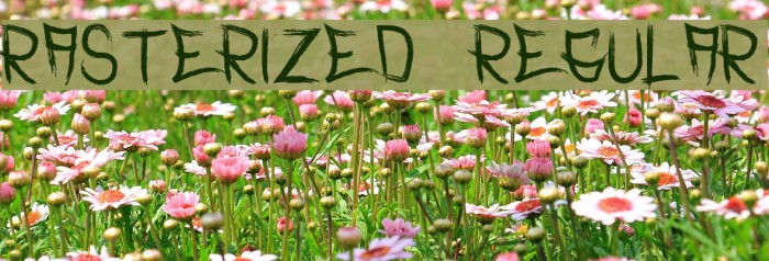Rasterized Regular Font - FFonts.net