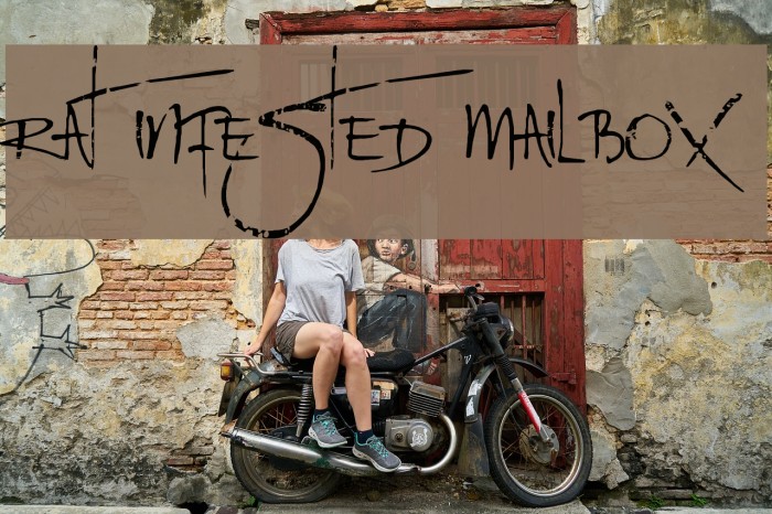 Rat Infested Mailbox Font - FFonts.net