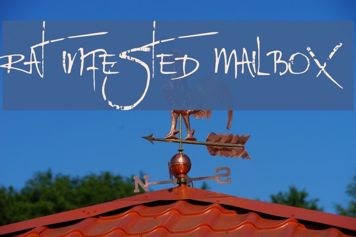 Rat Infested Mailbox Font - FFonts.net