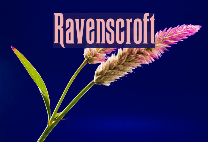 Ravenscroft Font - FFonts.net