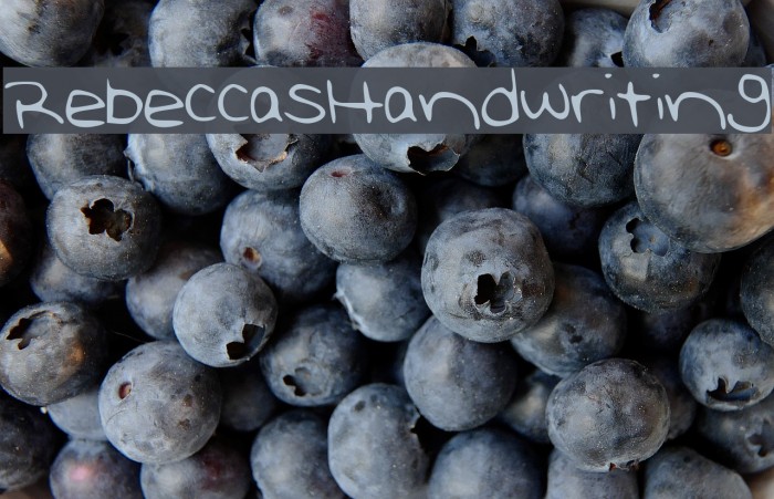 RebeccasHandwriting Font - FFonts.net