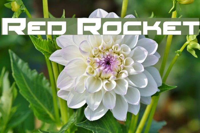 Red Rocket Font - FFonts.net