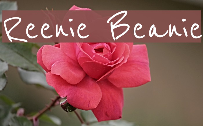 Reenie Beanie Font - FFonts.net