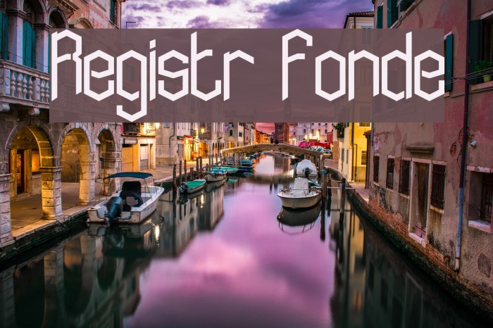 Registr Fonde Font - FFonts.net