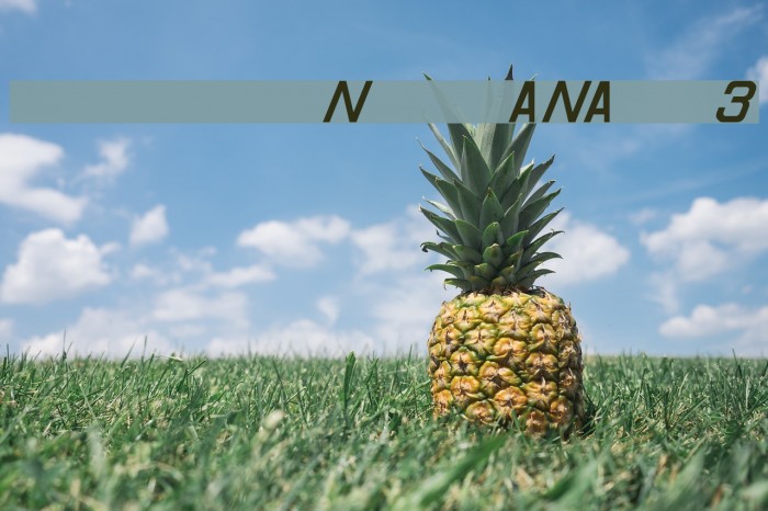 Registration Number ANA I v3 Font - FFonts.net