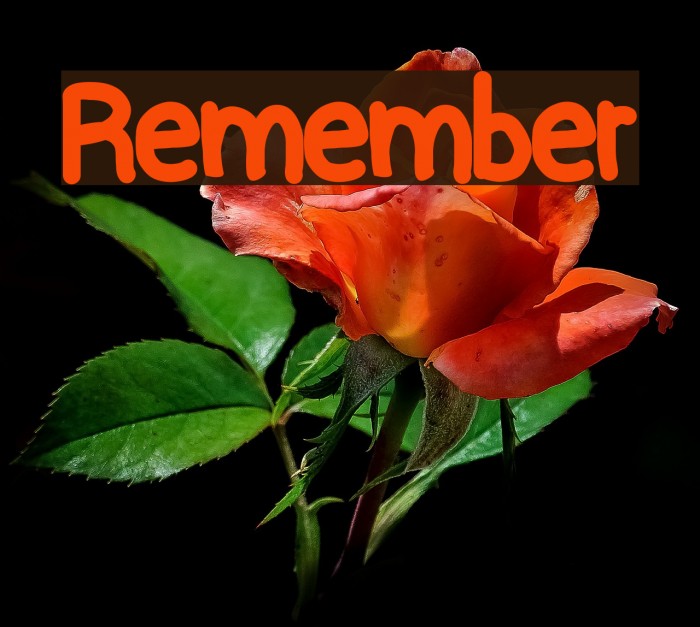 Remember Font - FFonts.net