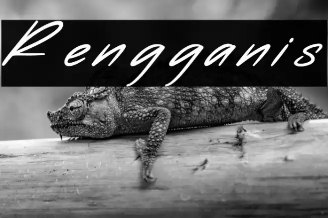 Rengganis Font | Details & Characters — FFonts.net