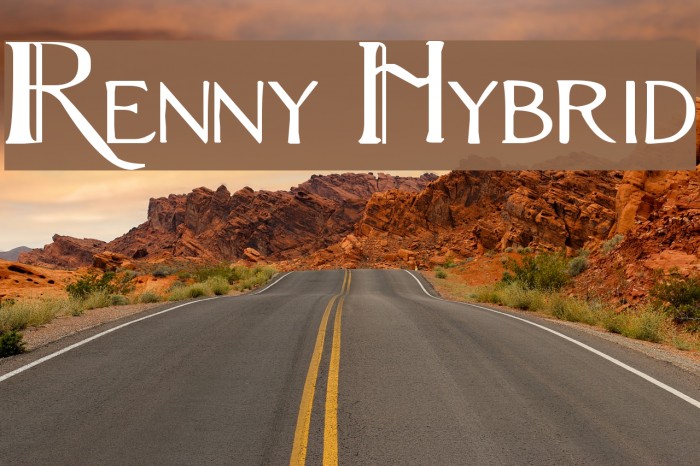 Renny Hybrid Font - FFonts.net