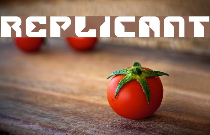 Replicant Font - FFonts.net