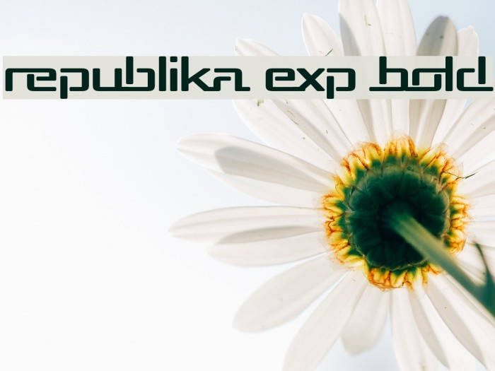 Republika Exp Bold Font - FFonts.net