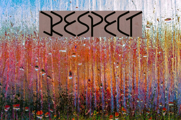 Respect Font - FFonts.net
