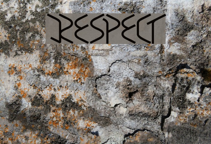 Respect Font - FFonts.net