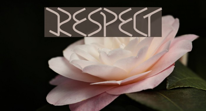 Respect Font - FFonts.net