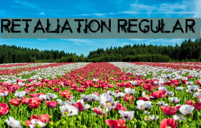 Retaliation Regular Font - FFonts.net