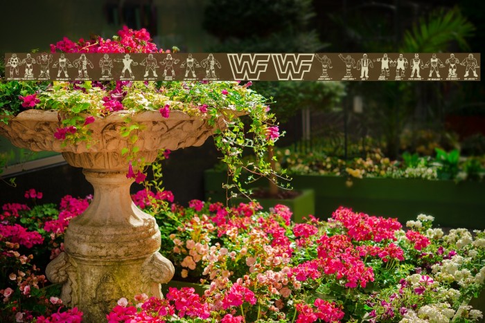 Retro Hasbro WWF Figures Font - FFonts.net