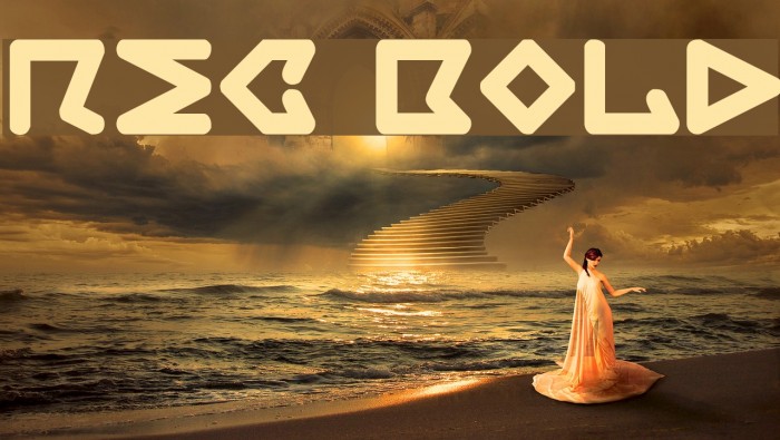 rec Bold Font - FFonts.net