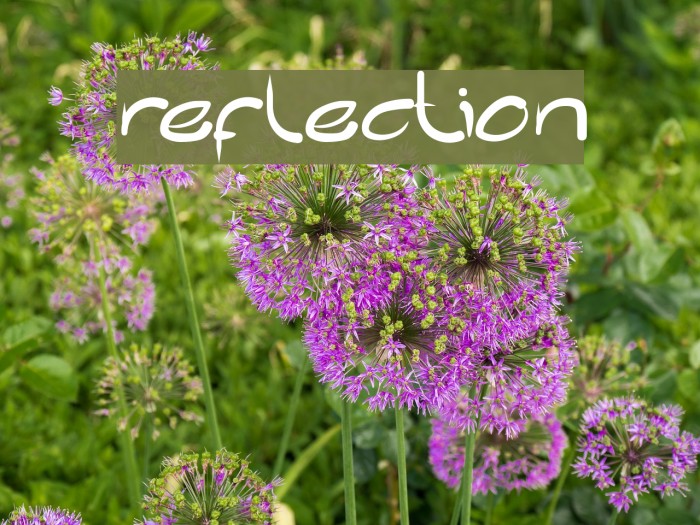 reflection Font - FFonts.net