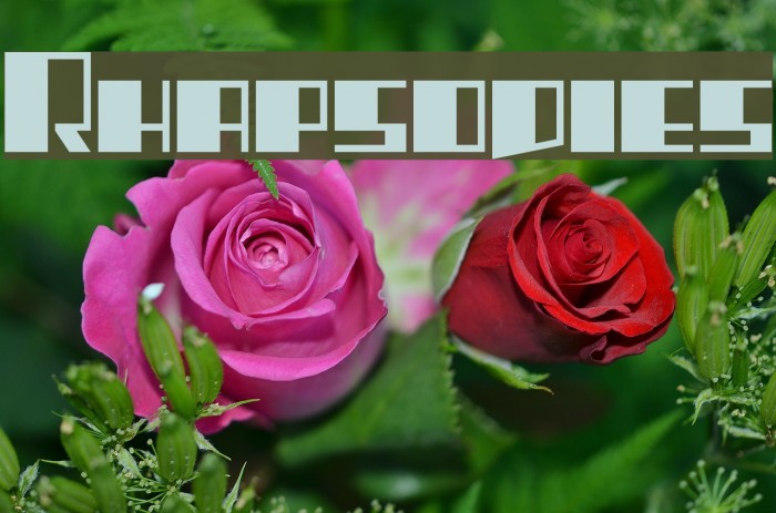 Rhapsodies Font - FFonts.net