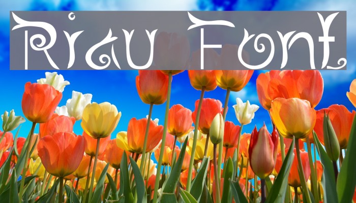 Riau Font - FFonts.net