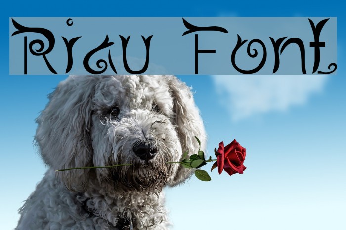 Riau Font - FFonts.net