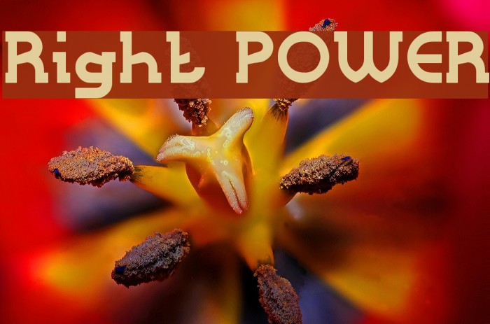 Right POWER Font - FFonts.net