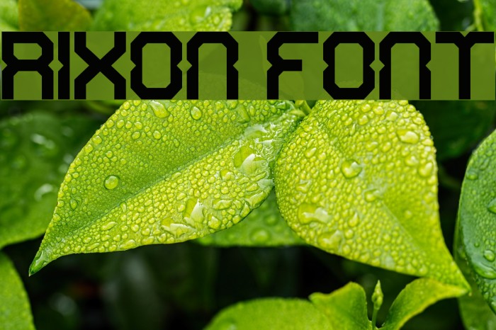 Rixon Font - FFonts.net