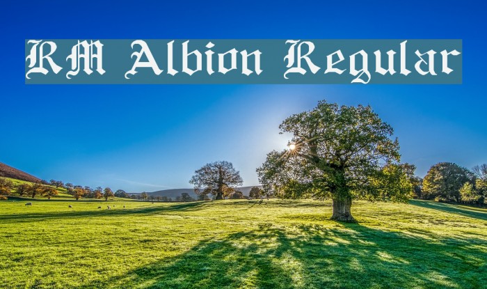 RM Albion Regular Font - FFonts.net