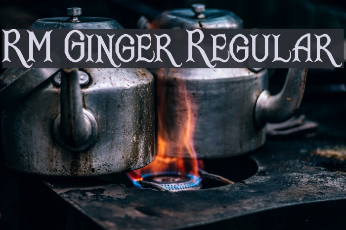 RM Ginger Regular Font - FFonts.net