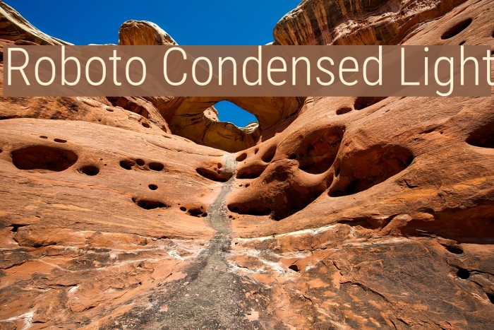 Roboto Condensed Light Fuente - FFonts.net