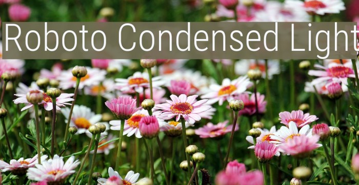 Roboto Condensed Light Fuente - FFonts.net