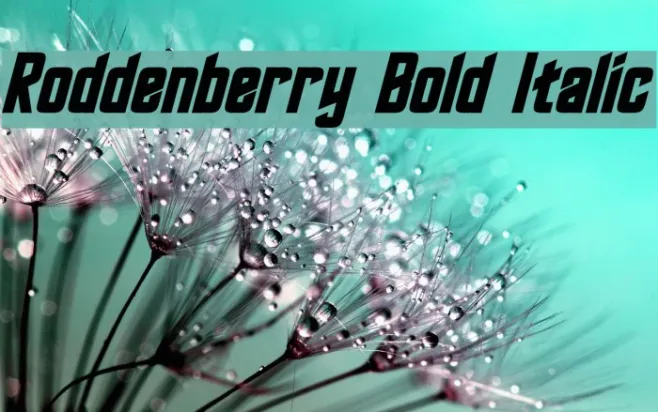 Roddenberry Bold Italic Font | Free Download (TTF/OTF) | FFonts.net