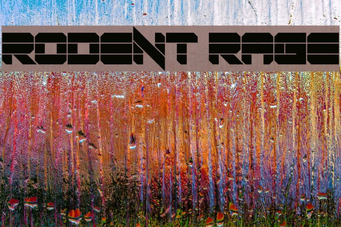 Rodent Rage Font - FFonts.net