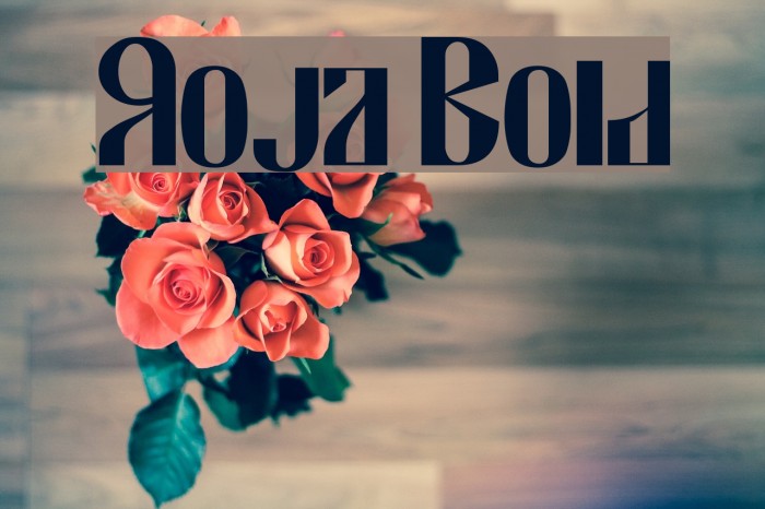 Roja Bold Font - FFonts.net