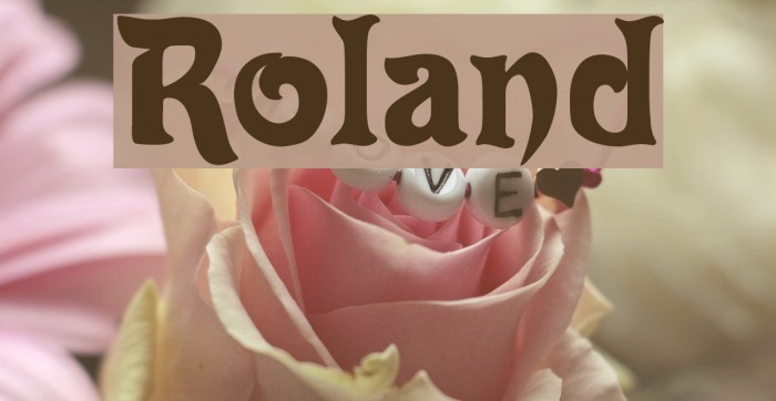 Roland Font - FFonts.net