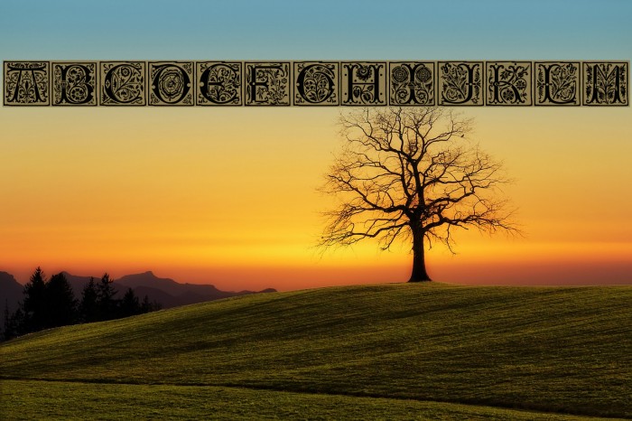 Romant Font - FFonts.net