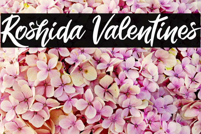 Roshida Valentines Font - FFonts.net