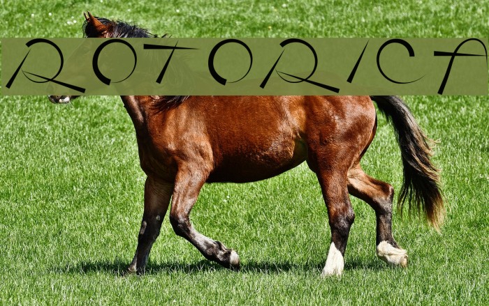 Rotorica Font - FFonts.net
