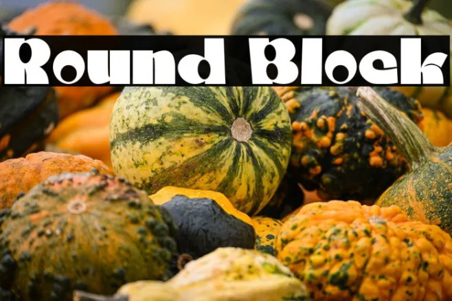Round Block Font | Free Download (TTF/OTF) | FFonts.net