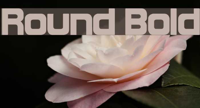 Round Bold Font - FFonts.net