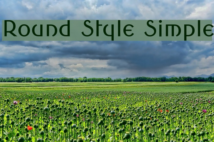 Round Style Simple Font - FFonts.net