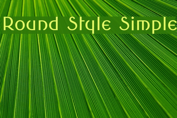 Round Style Simple Font - FFonts.net