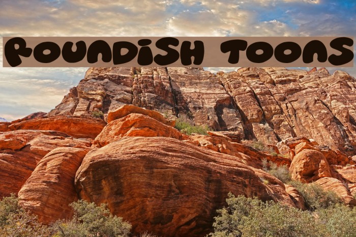 Roundish Toons Font - FFonts.net